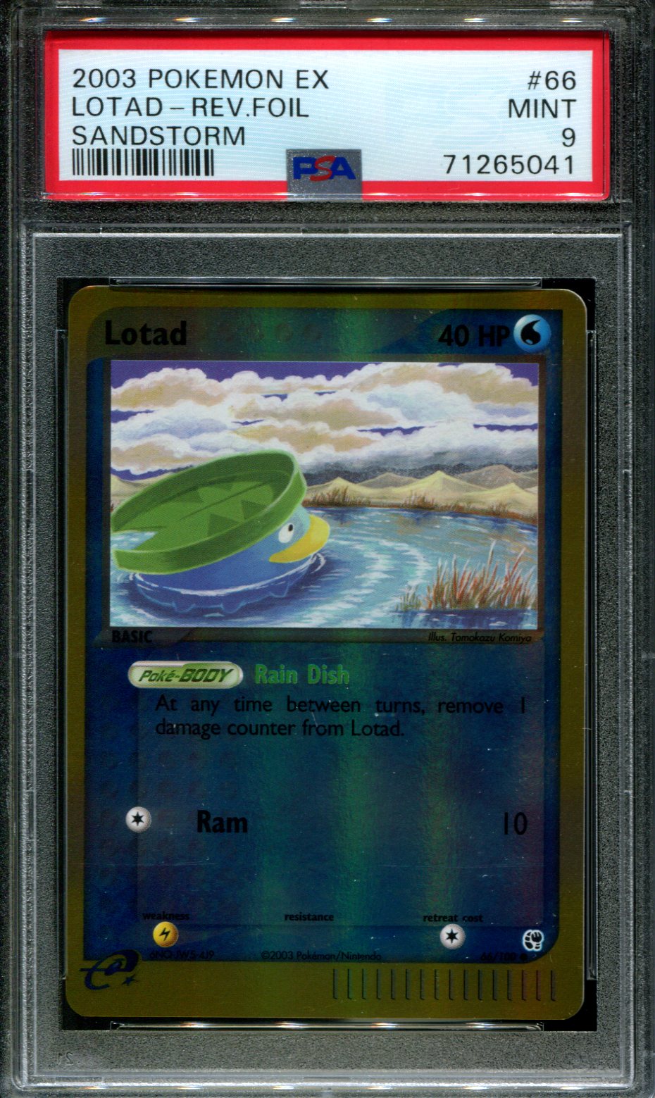 Pokemon Lotad Card