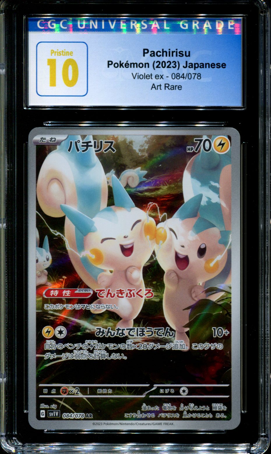 Pokemon Pachirisu Card